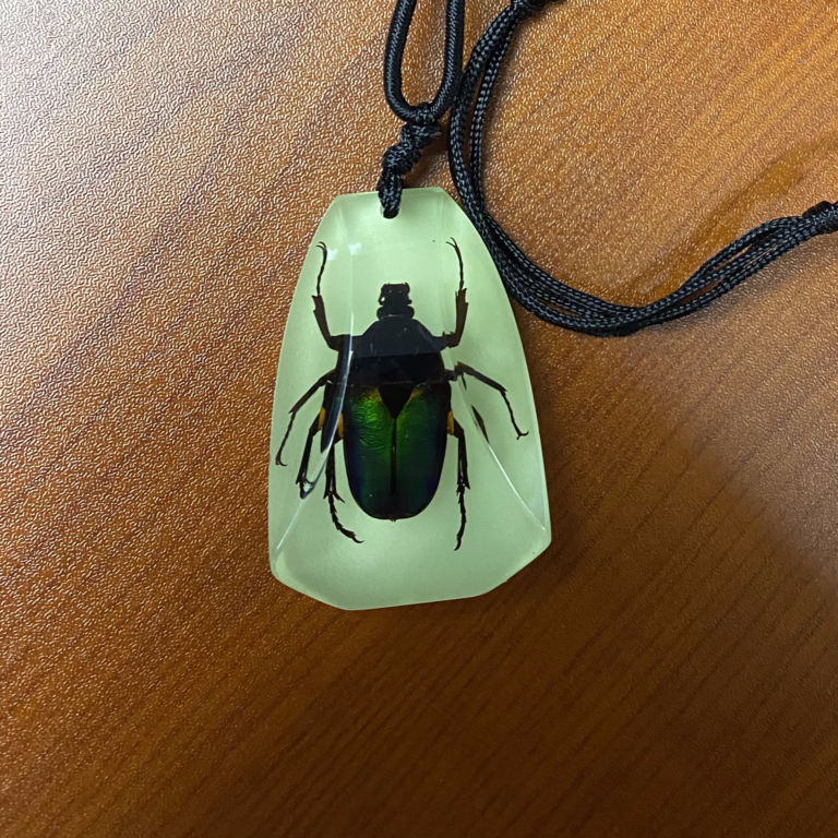 NJHU Shop Specialty Items Now! - NJHU